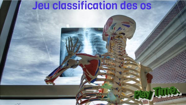 Jeu classification des os
