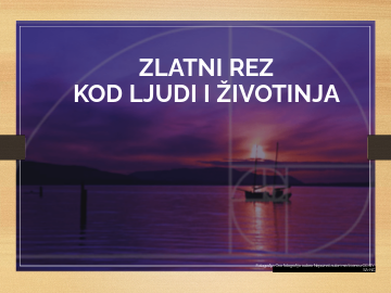 Zlatni rez - ljudi, životinje, umjetnost _2.prezentacija | Genially