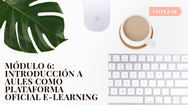 MÓDULO 6 E | Genially