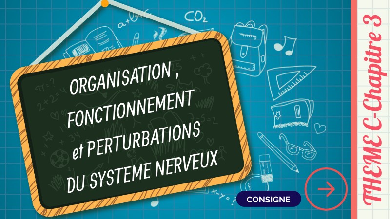 THEME C-Chapitre | Genially