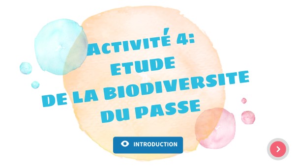 Biodiversité du passé | Genially