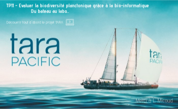 TP11 TES TARA expedition Biodiversité | Genially