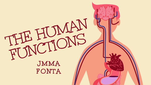 HUMAN FUNCTIONS