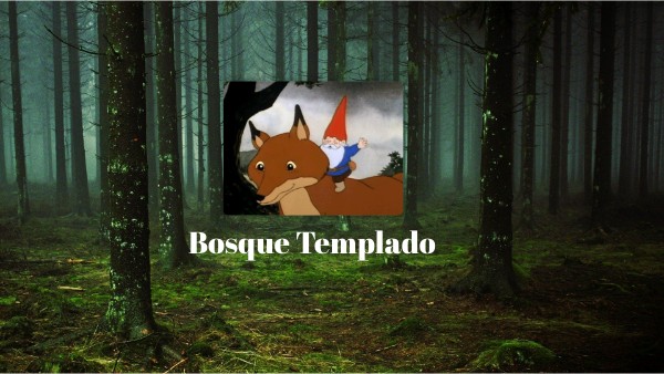 Bosque templado