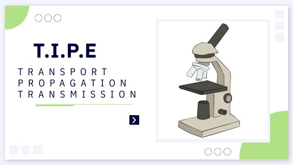 BASIC SHAPES GUIDE | Genially