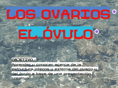 EL OVARIO Y EL OVULO