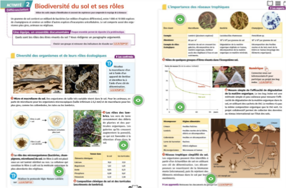 Correction biodiversité du sol