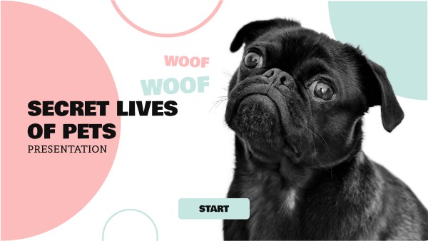 SECRET LIVES OF PETS | Genially