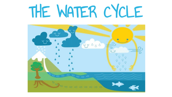 The water cycle | Genially