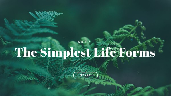 The Simplest Life Forms 2.0 | Genially