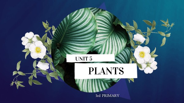 PLANTS | Genially
