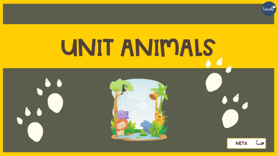 FAST FINISHERS: ANIMALS | Genially