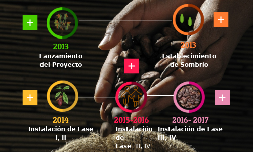 linea de tiempo cocoa