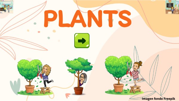 PLANTS