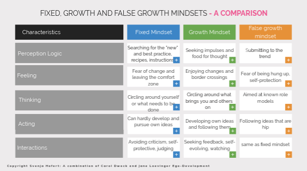 Fixed, growth and false mindset copy