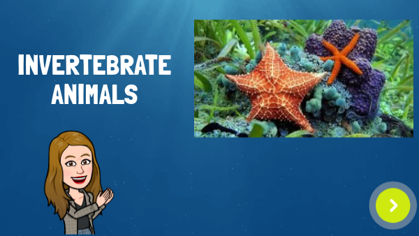 Invertebrates | Genially