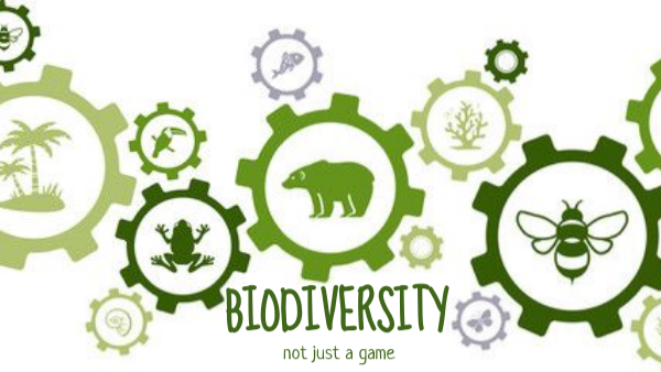 Biodiversity | Genially