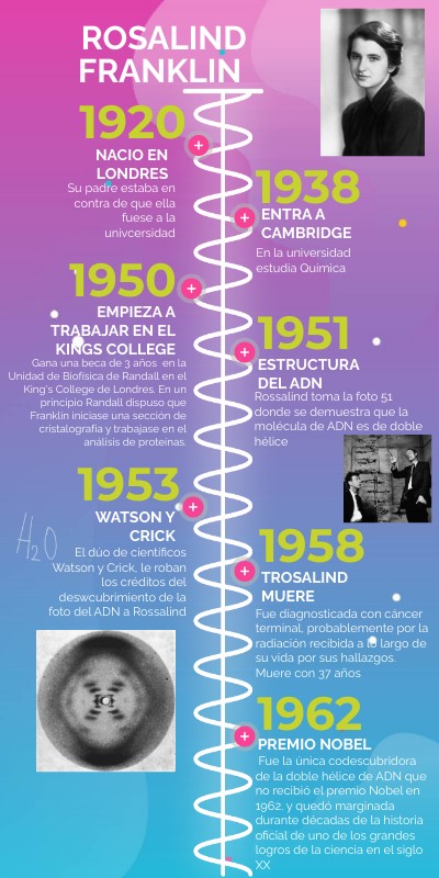 TIMELINE FÍSICA VIBRANT