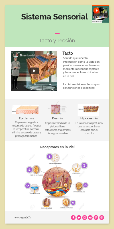 Tacto y Presión | Genially