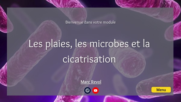 Plaies, cicatrisation et microbes | Genially