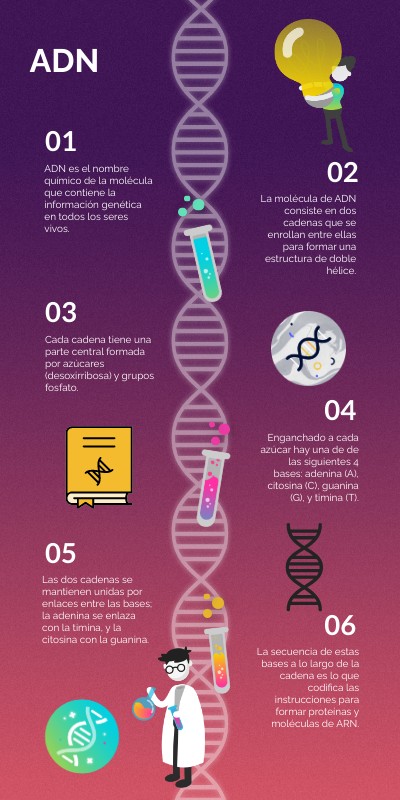 GENERALIDADES DEL ADN | Genially