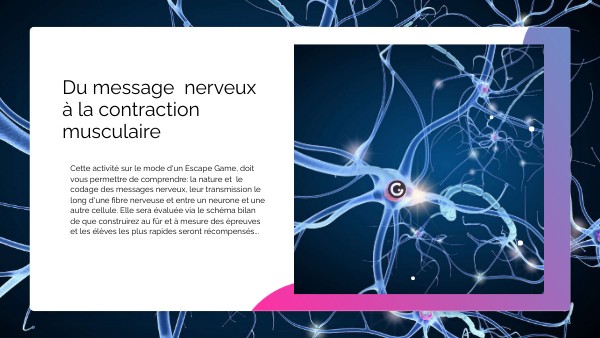 nature et transmission des messages nerveux | Genially