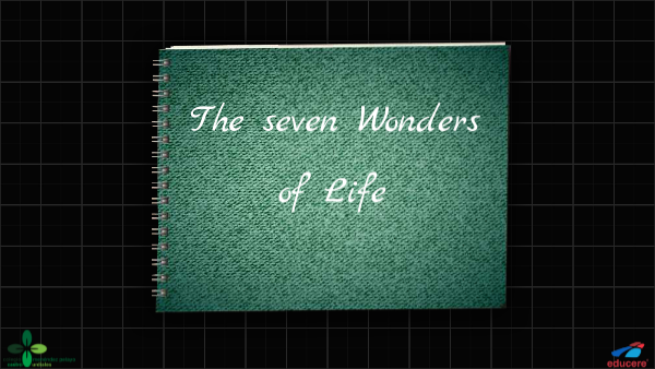The 7 wonders of life