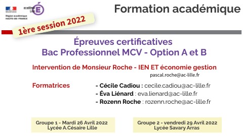 Travaux professionnels Bac pro MCV | Genially