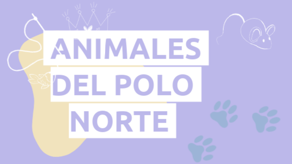 Animales del polo norte