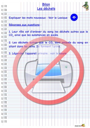 5e Cours chap 4 | Genially