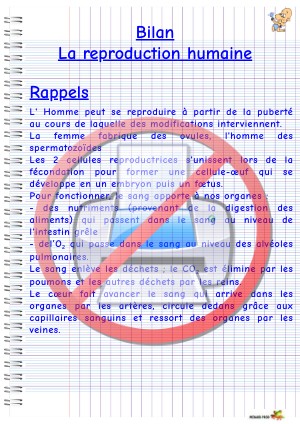 4e Cours chap 1 | Genially