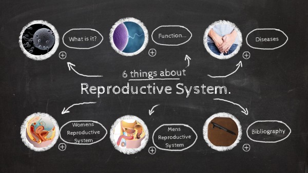 Reproductive System.