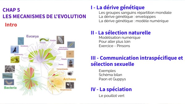 2024 Les mécanismes de l'évolution
