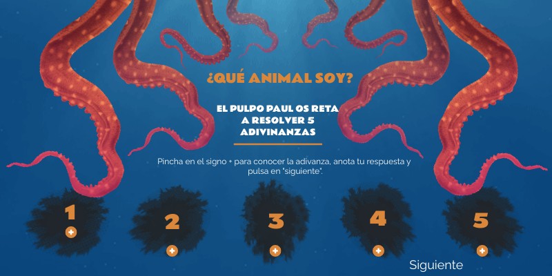 ¿QUÉ ANIMAL SOY?