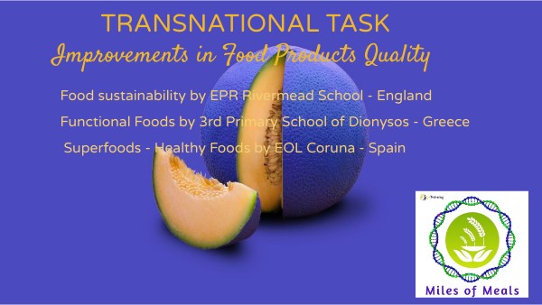 MIles of Meals task 5 | Genially