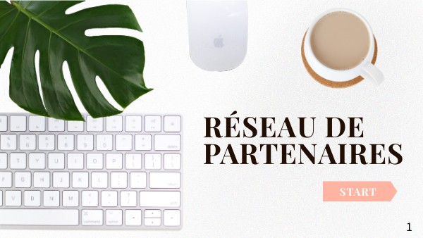 Réseau de partenaire - FICHE E6 | Genially