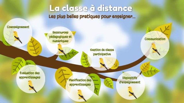 La classe à distance