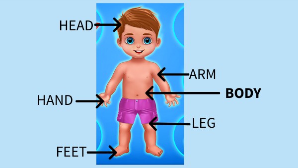 BODY/FACE PARTS LABEL