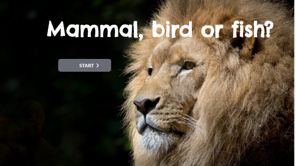 Mammal, bird or fish? | Genially