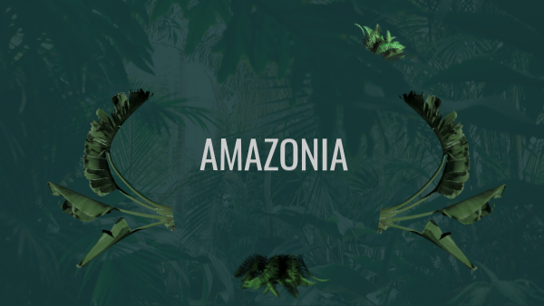 Amazonia-kl.8 | Genially