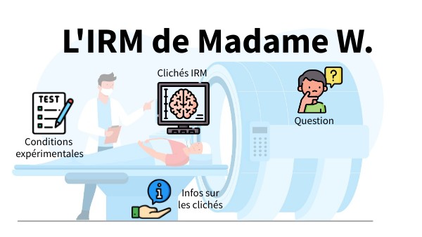 IRM Mme W : Plaisir et sexuailté