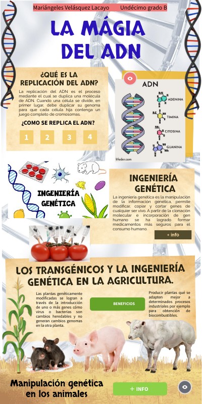 Infografía biologia | Genially