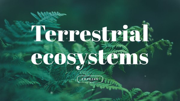 Terrestrial ecosystems