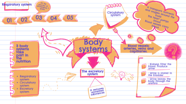Body systems | Genially