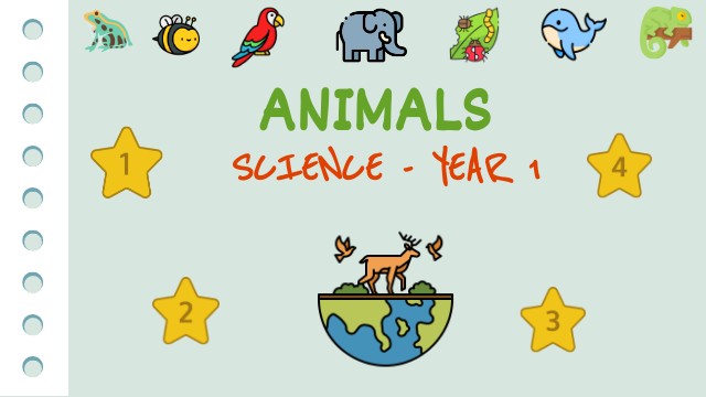 Animals - Science Year 1