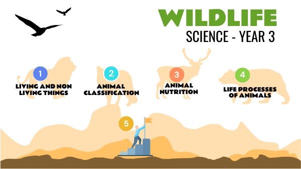 WILDLIFE - Science Year 3