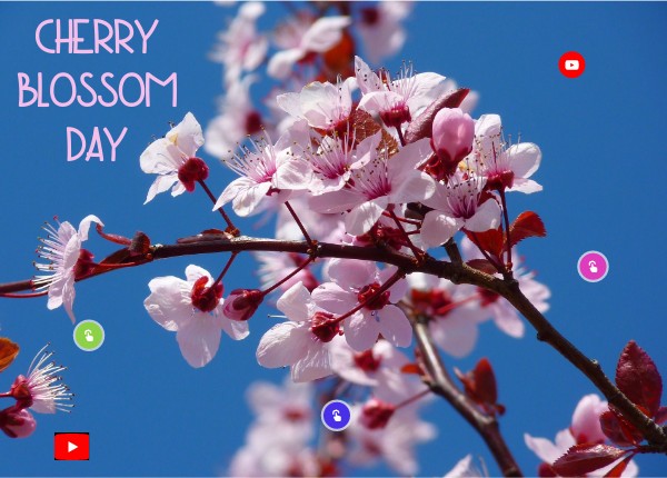 CHERRY BLOSSOM DAY