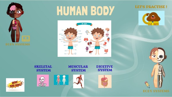 HUMAN BODY - YEAR 3