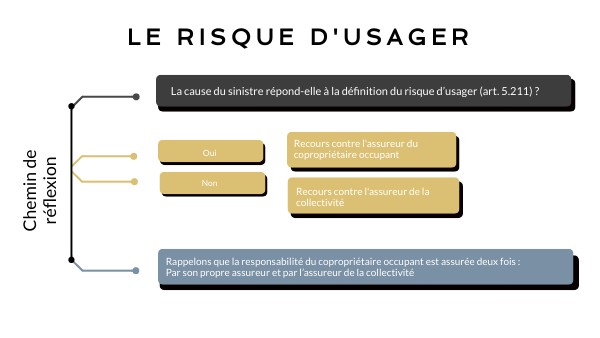 Le risque d'usager | Genially