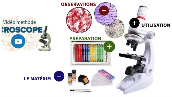 Poster interactif cellule | Genially